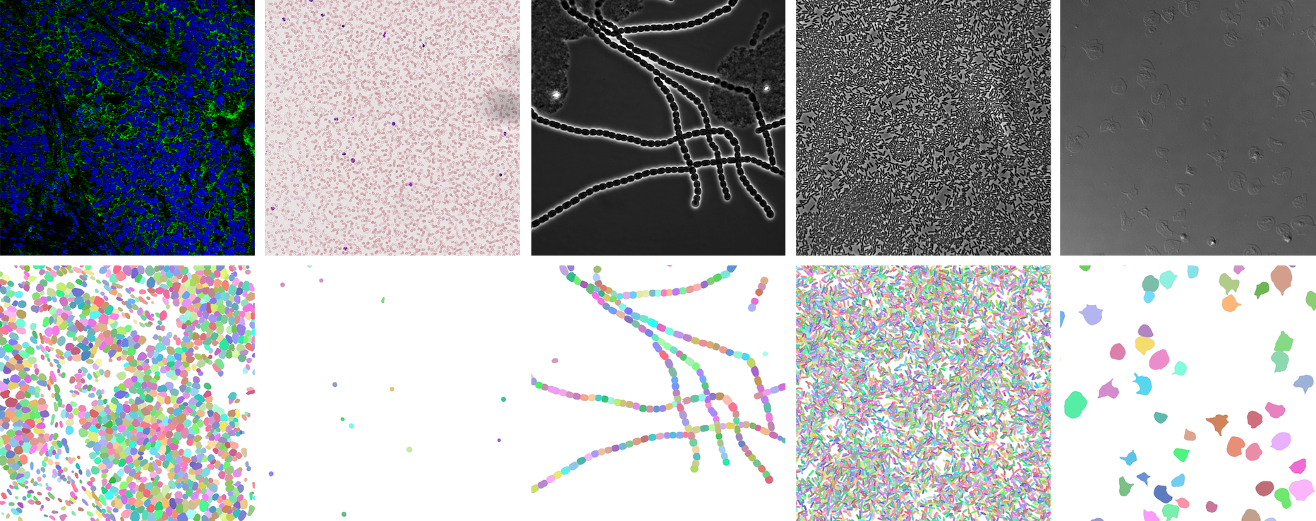CellDetection · PyPI