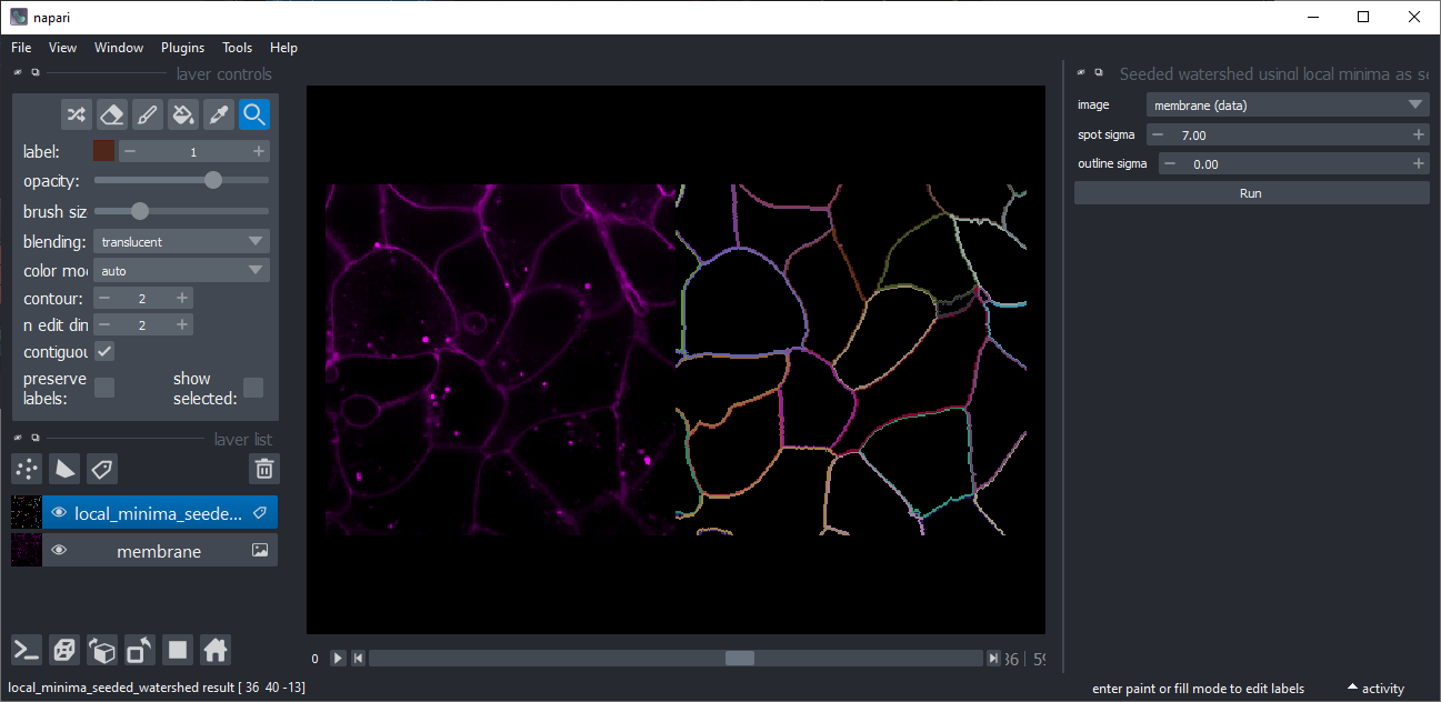 Napari Segment Blobs And Things With Membranes · Pypi 