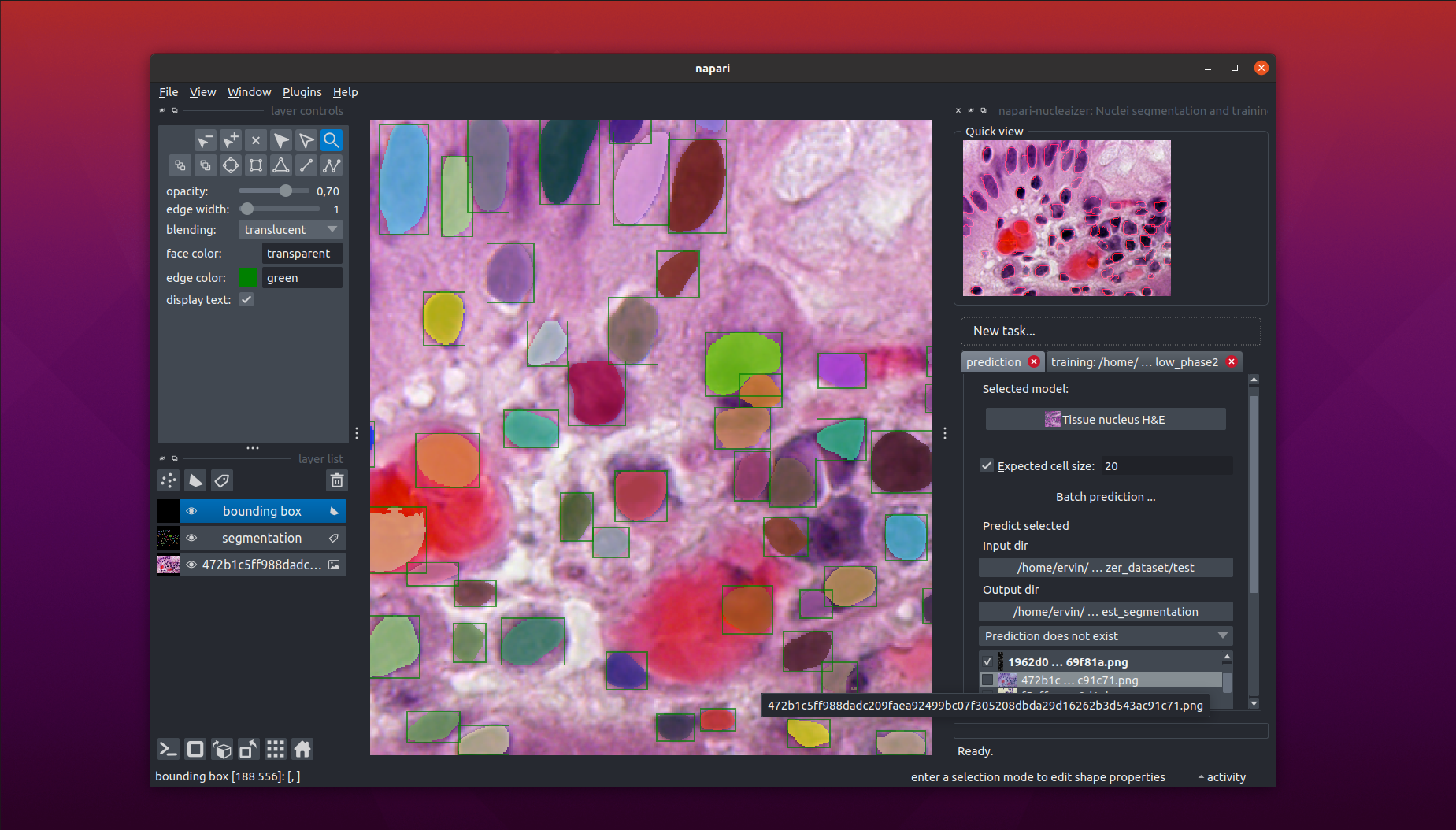 napari-nucleaizer · PyPI