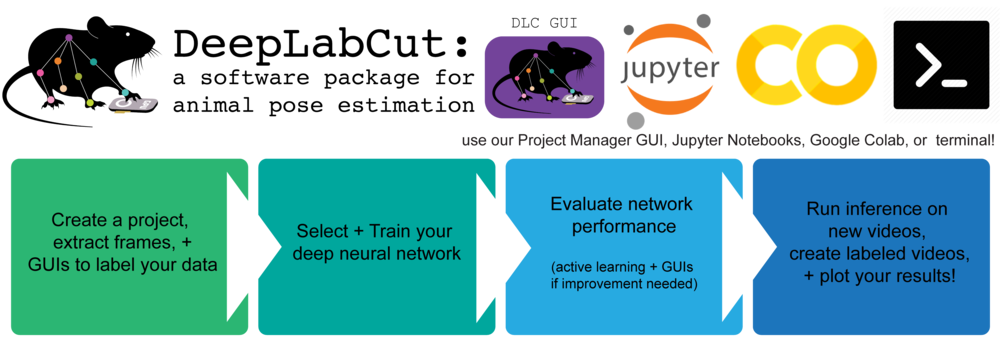 deeplabcut · PyPI