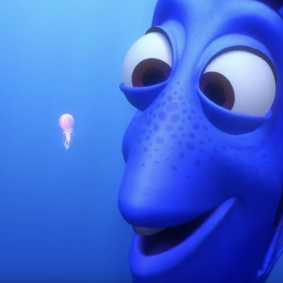 Dory And Bad Squishy