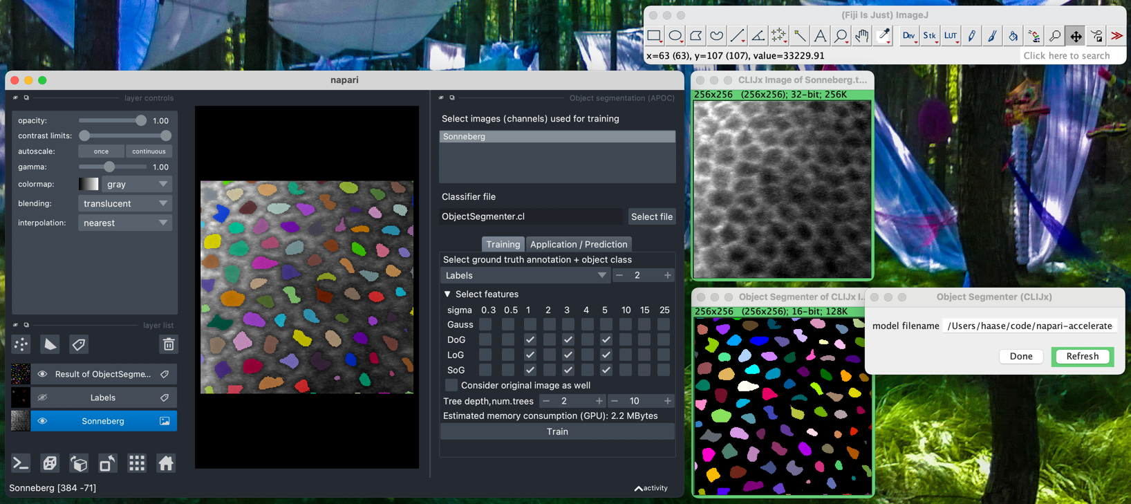 Napari Accelerated Pixel And Object Classification · Pypi