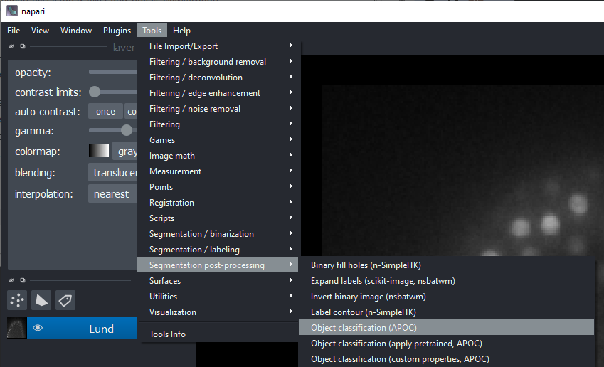 napari-accelerated-pixel-and-object-classification · PyPI
