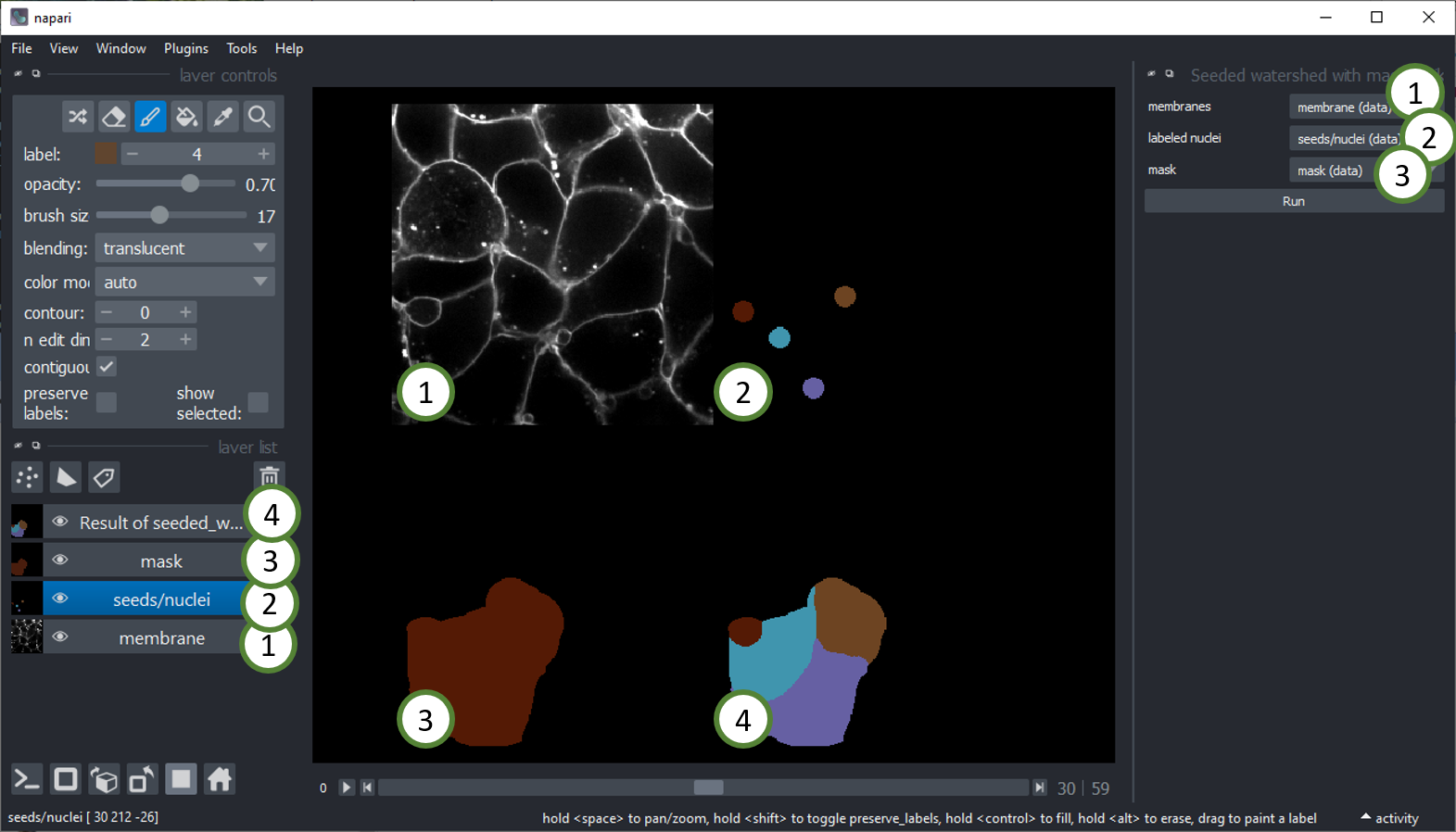 Napari Segment Blobs And Things With Membranes · Pypi 